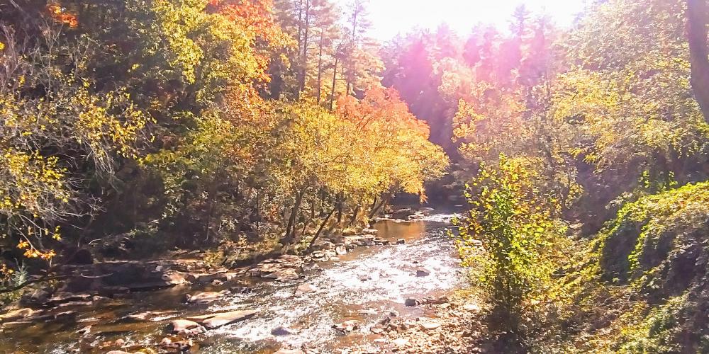 I Love Fall Most Of All - Especially in the Town of Lake Lure, NC ...
