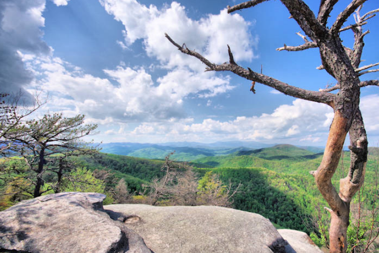 Weed Patch Mountain Trail Workdays in June 2023 | Lake Lure North Carolina