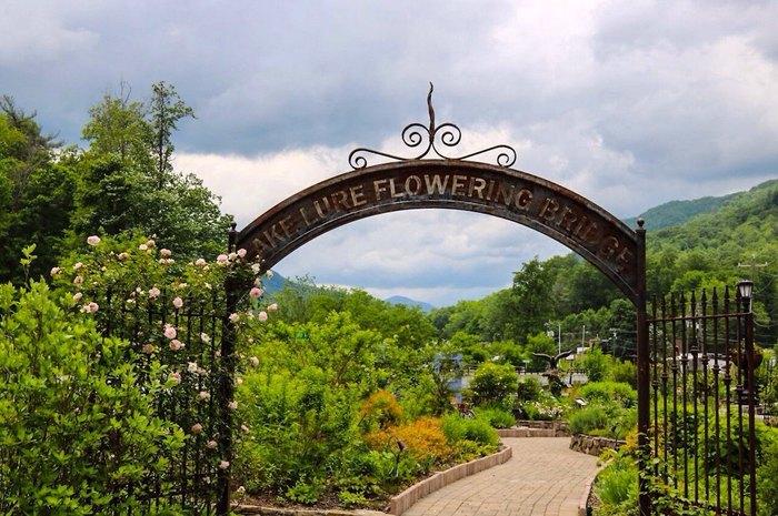 Lake Lure Flowering Bridge 2024 Educational Classes & Seasonal Features ...